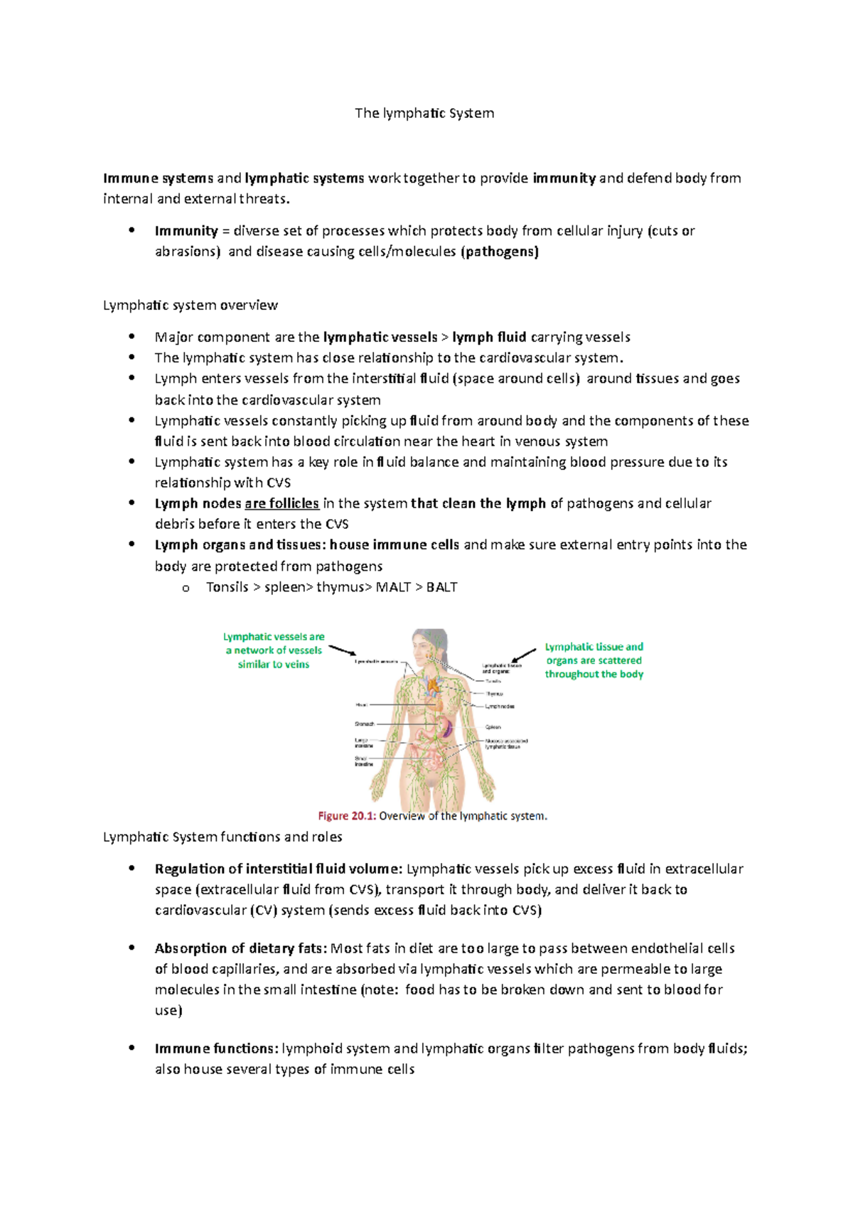 Lymphatic System Overview and Functions - Studocu