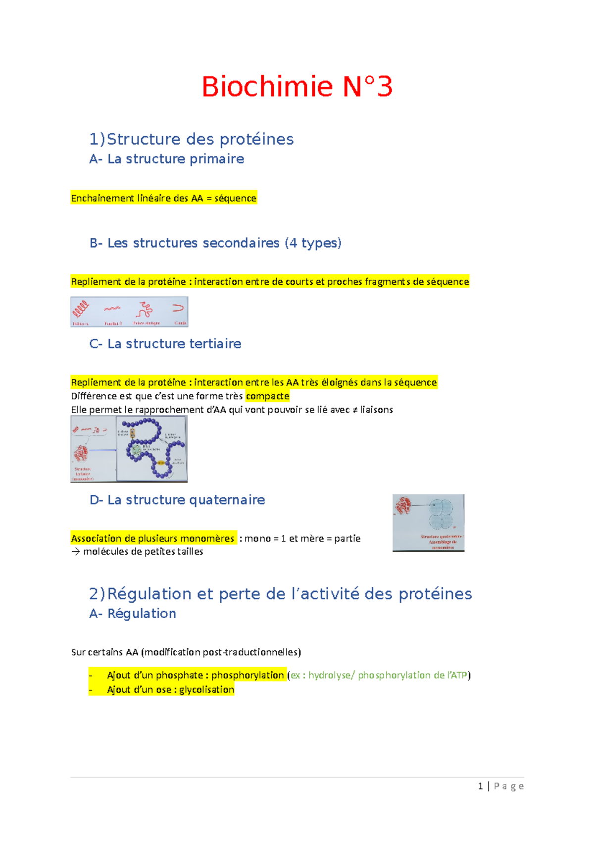 les protéines L1 psychologie - Biochimie N° 1)Structure des protéines A ...