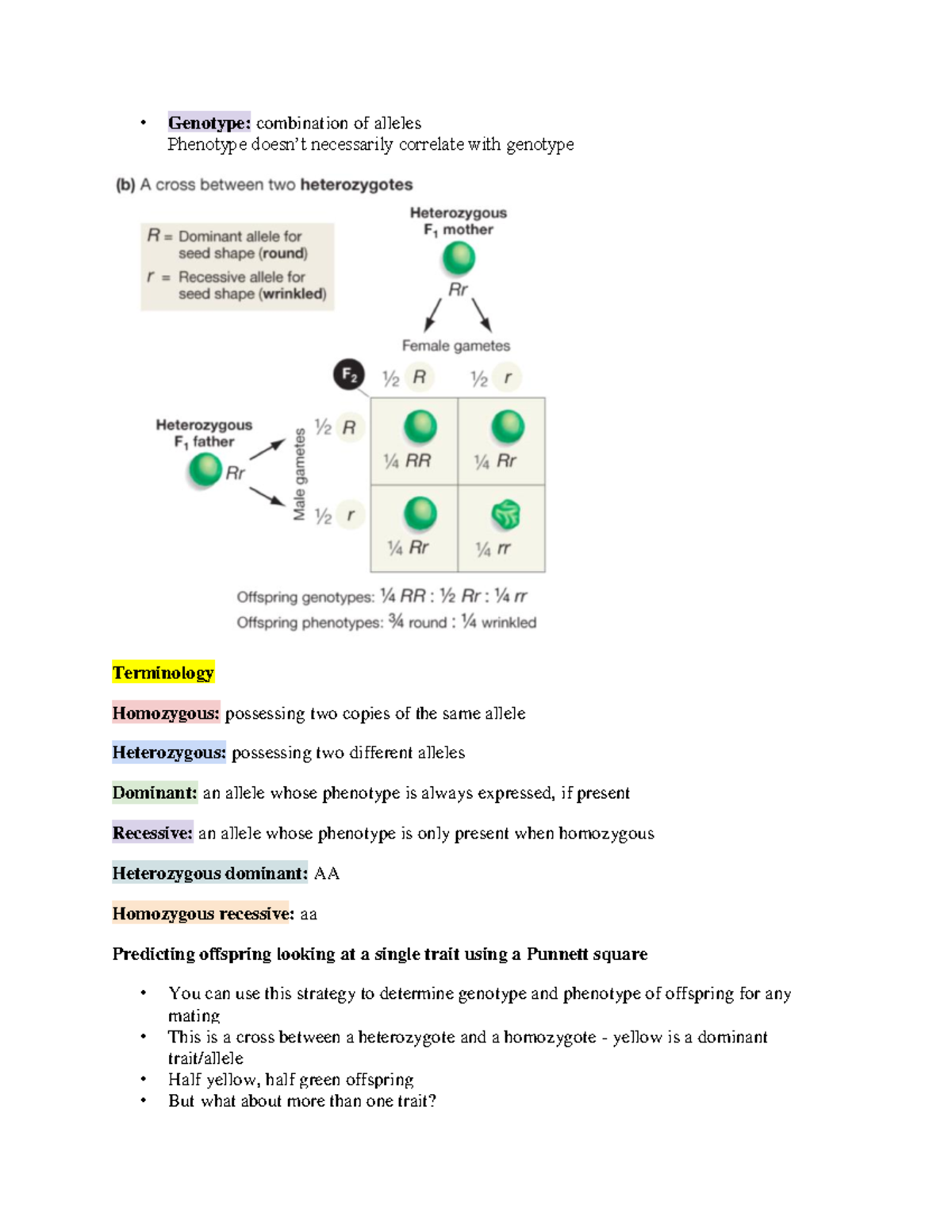 PART 2 of Lec 11 March 26 - Genotype: combination of alleles Phenotype ...