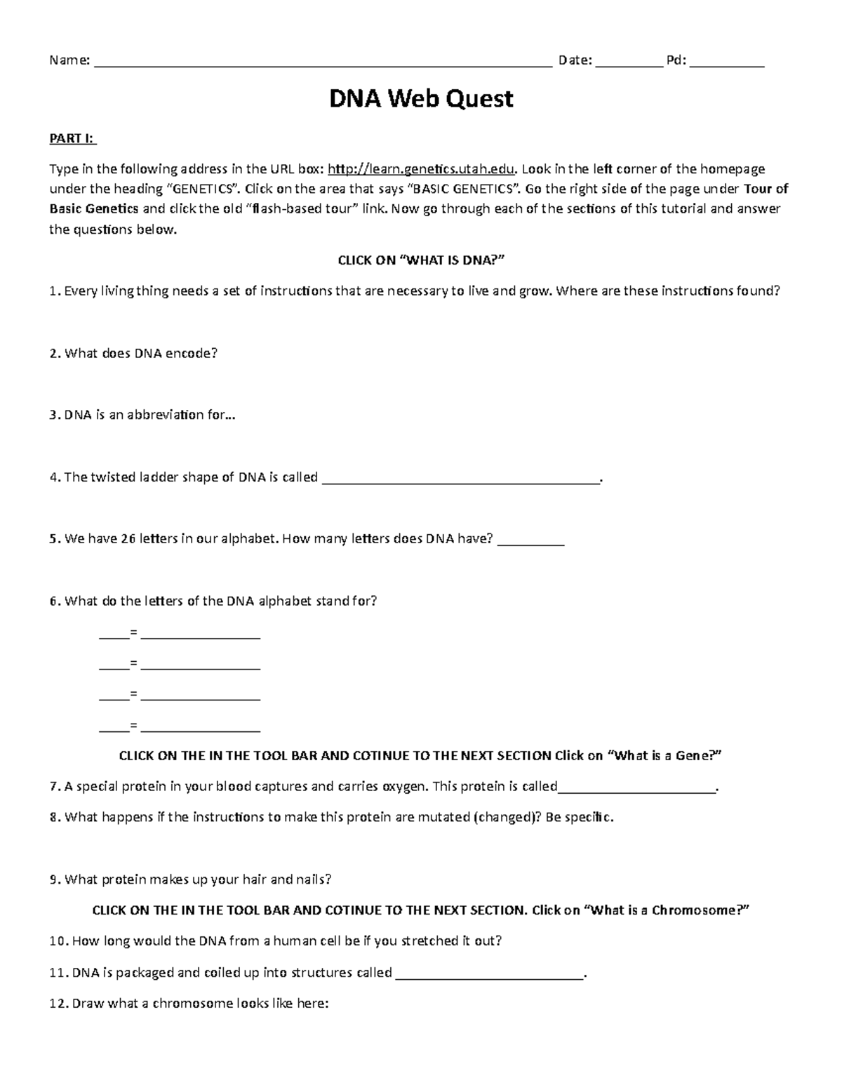 DNA Webquest - Name ...