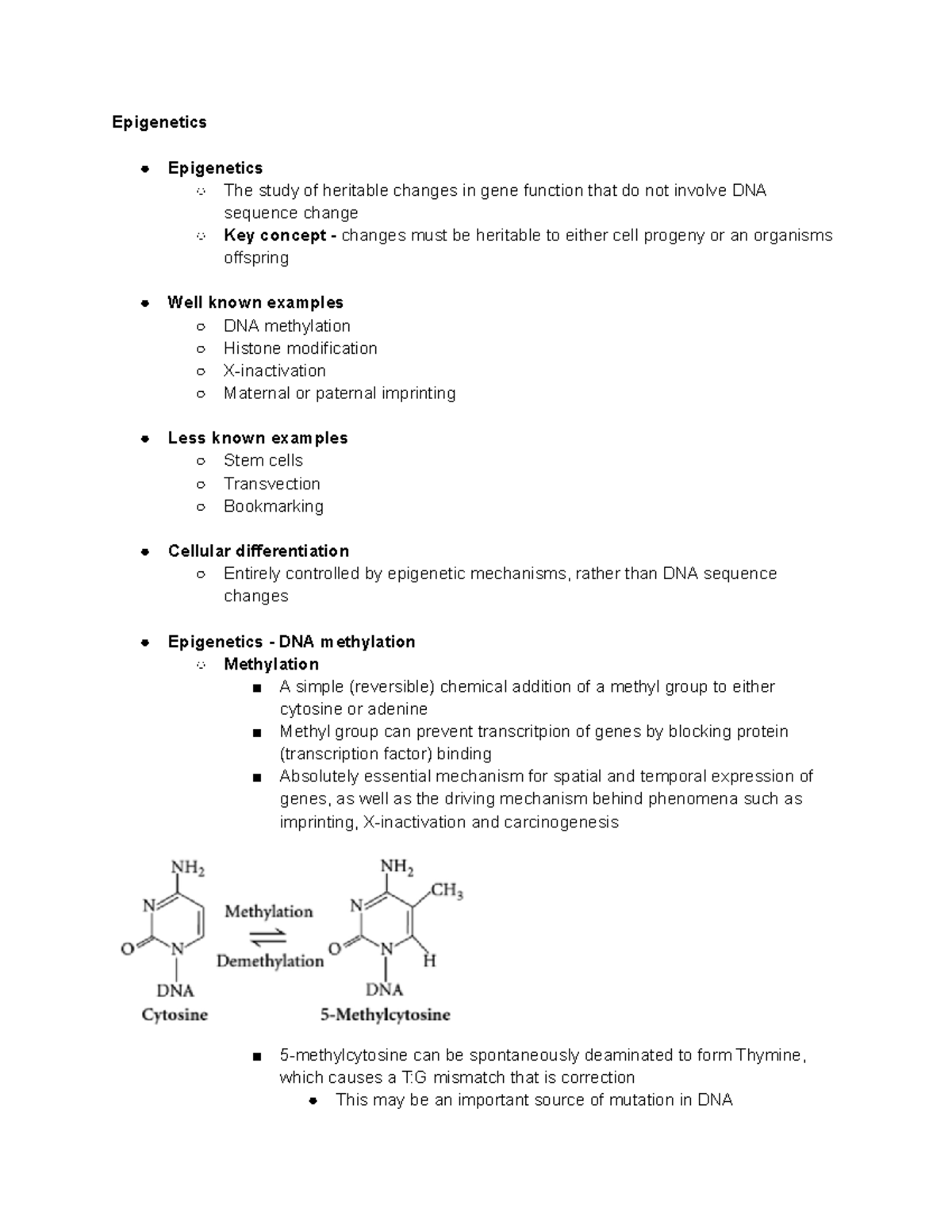 Lecture 14 Epigenetics - Epigenetics Epigenetics The study of heritable ...