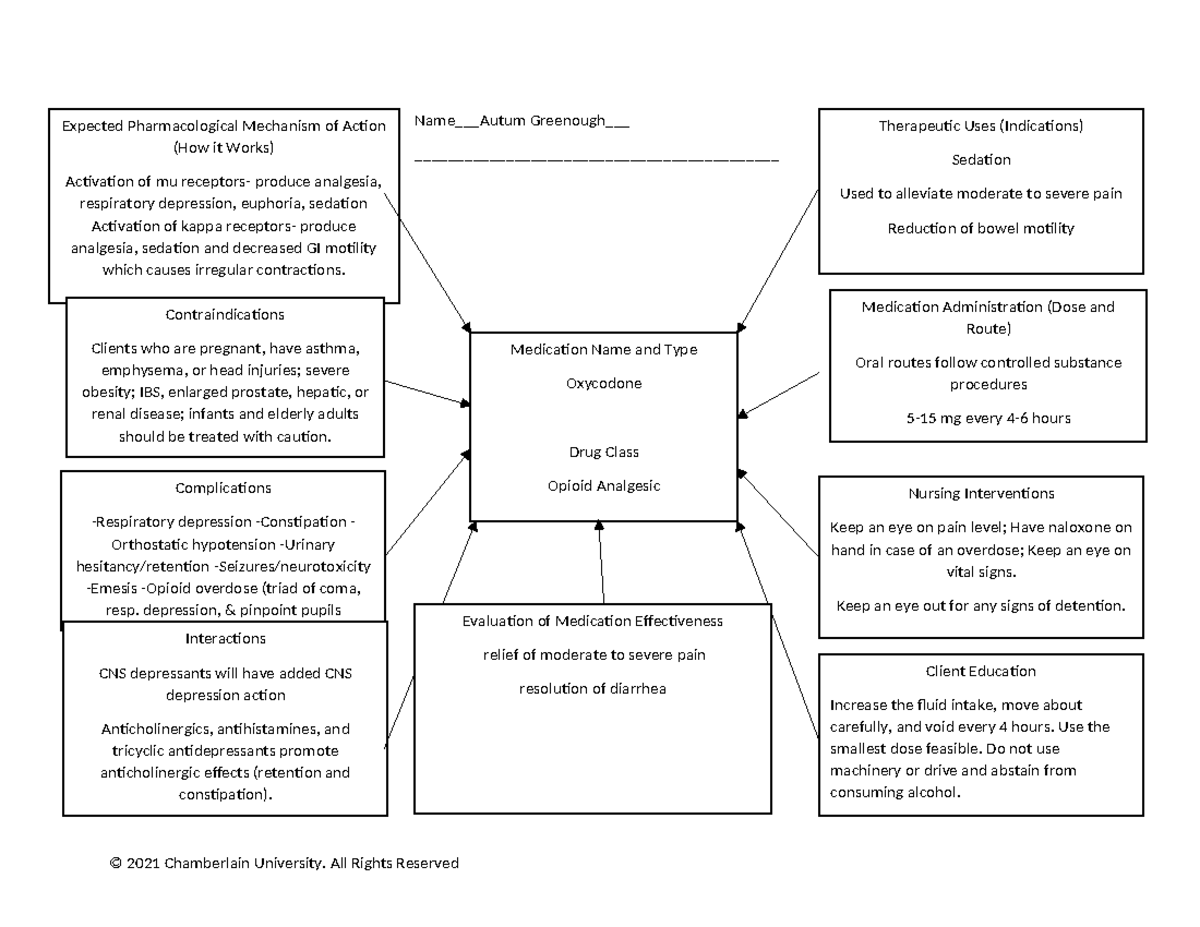 NR293 Active Learning Activity Medication Concept Map Nov 21 - Name ...