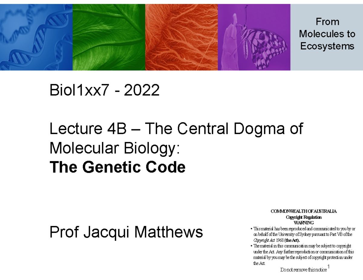 BIOL1XX7 Lecture 4B 2022 - Biol1xx7 - 2022 Lecture 4B – The Central ...