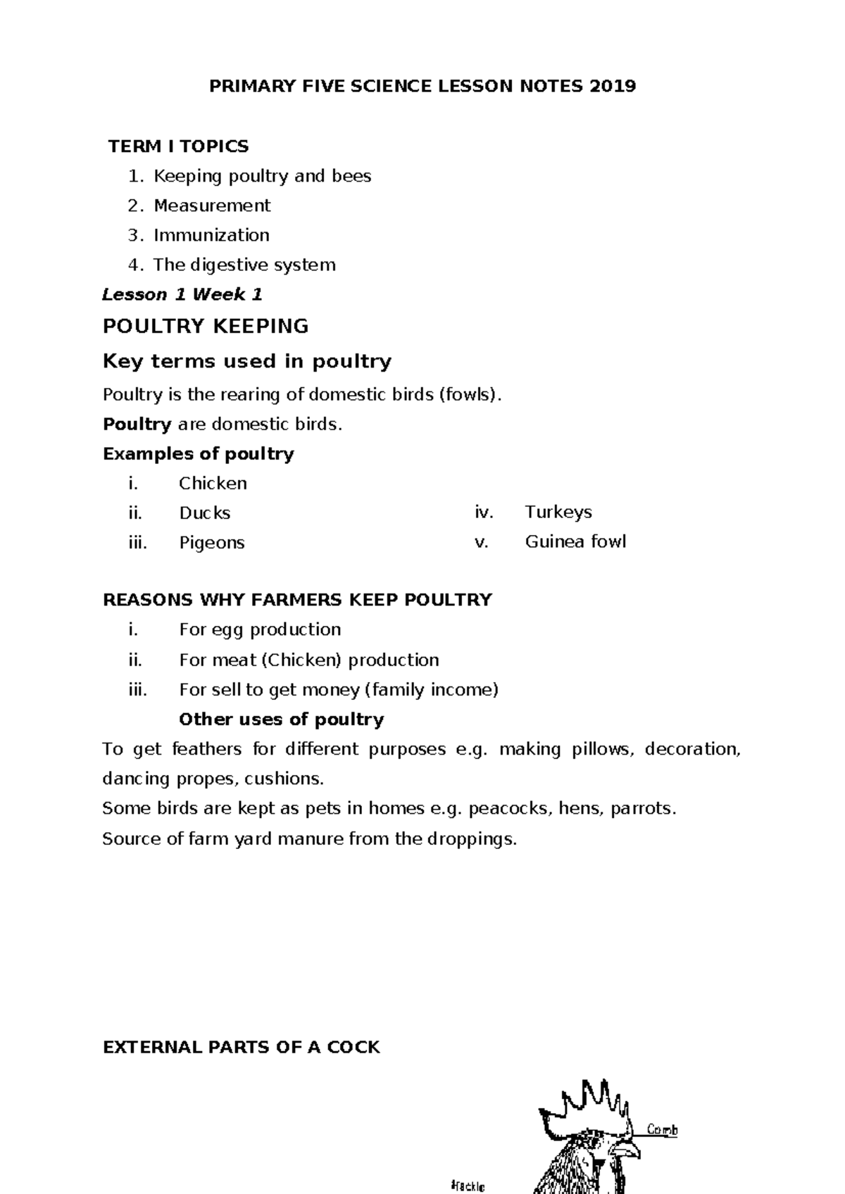 P.5 Science Lesson Notes 1 2019 Greenhill - PRIMARY FIVE SCIENCE LESSON ...