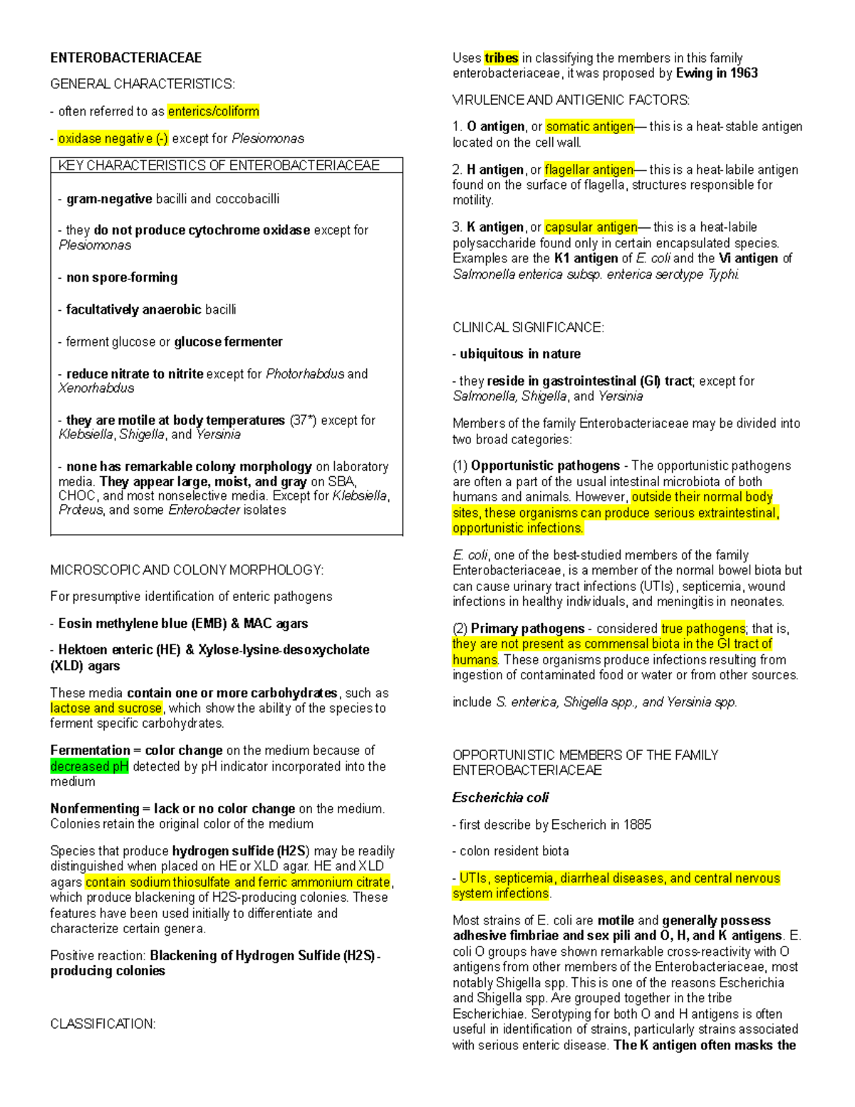 Enterobacteriaceae - ENTEROBACTERIACEAE GENERAL CHARACTERISTICS: often ...