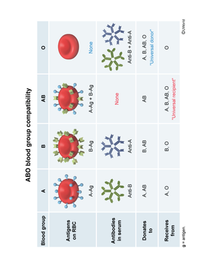 ATI Review Skills Module 3 - Regardless of the level of qualifications ...