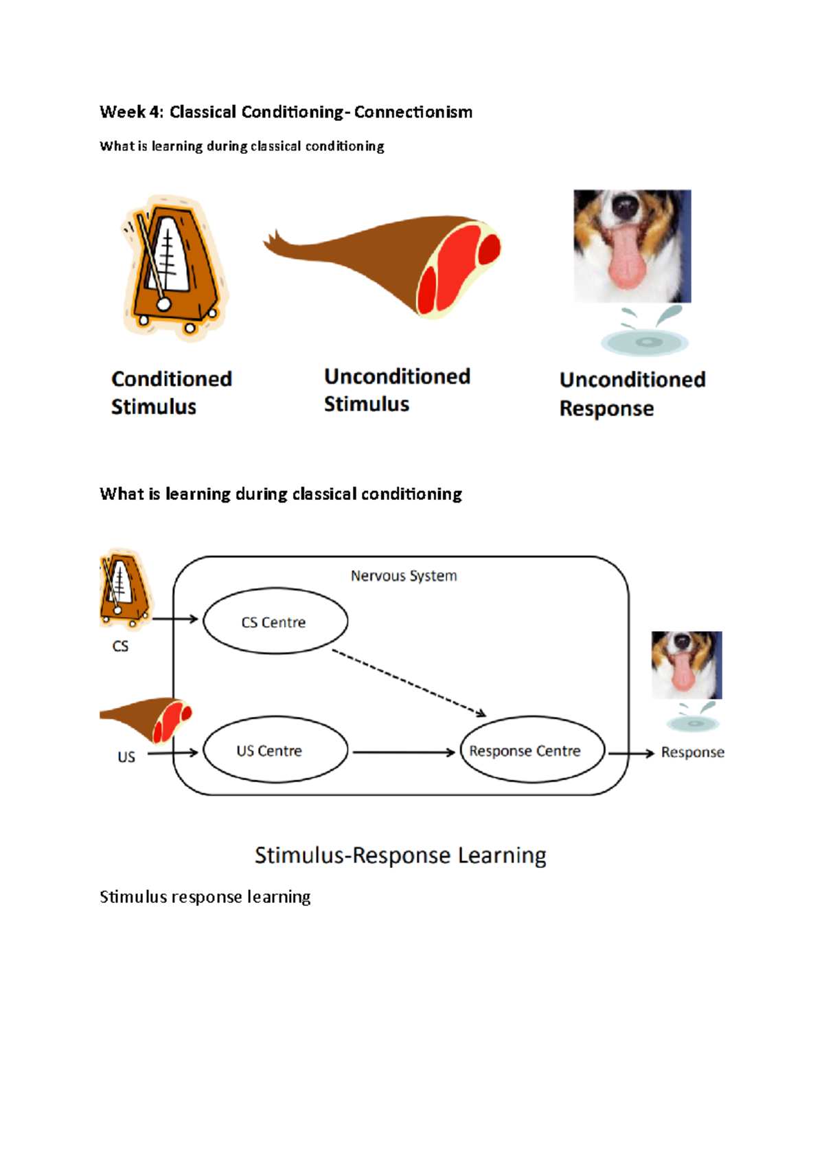 Week 4 Connectionism Lecture Notes Week 4 Classical Conditioning Connectionism What Is
