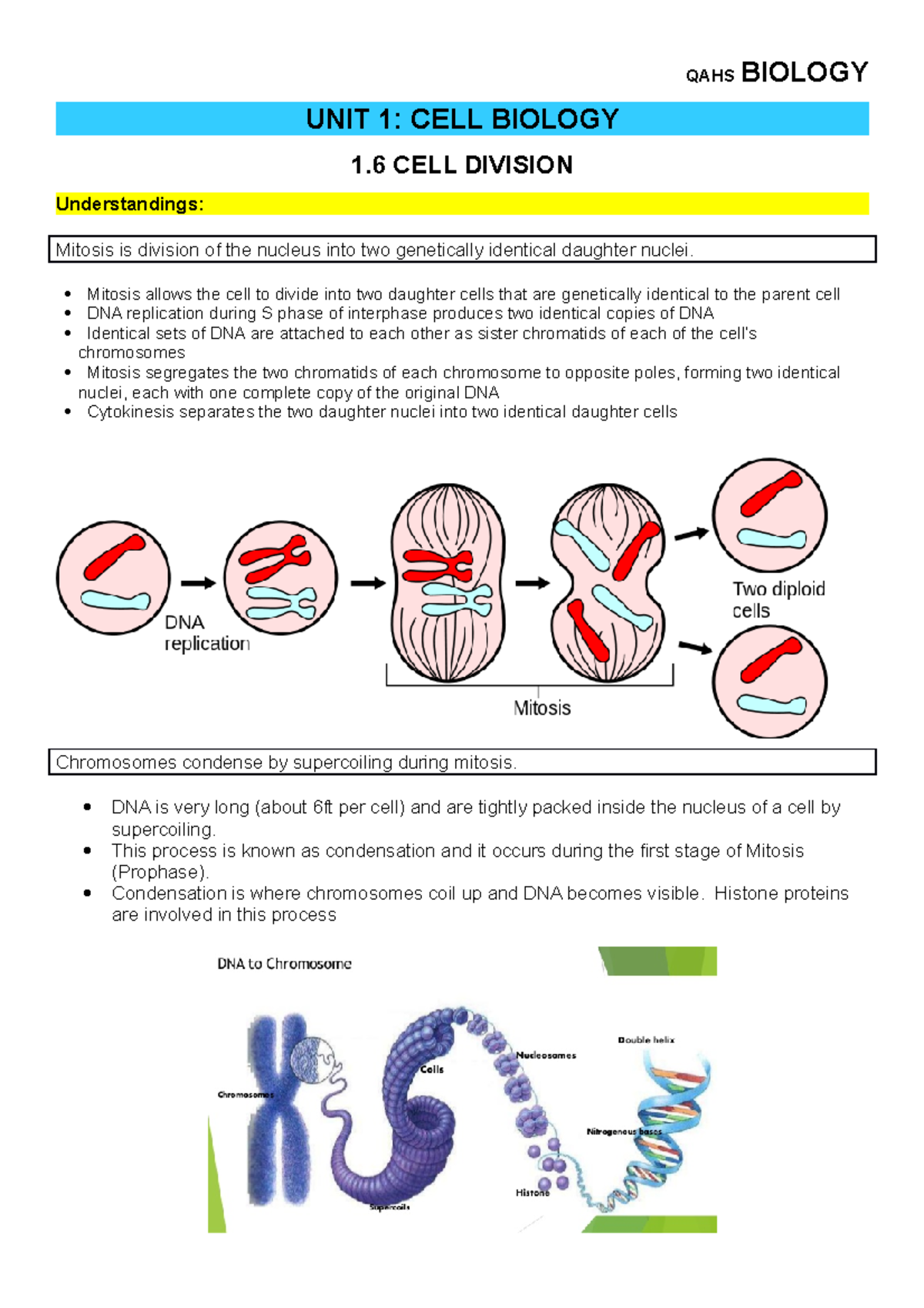 1.6 Cell Division - WEWEWEWEWE - QAHS BIOLOGY UNIT 1: CELL BIOLOGY 1 ...