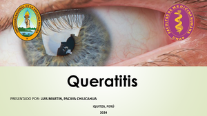 Leucoma corneal - Cano FM, Redondo YA. Leucoma corneal lineal ...