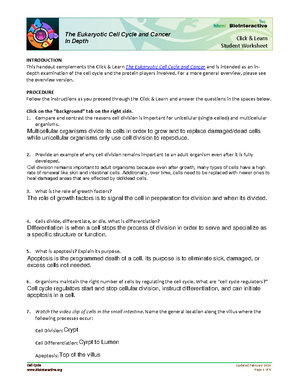 Lizards in an Evolutionary Tree - Puerto Rico, Cuba, Jamaica, and ...