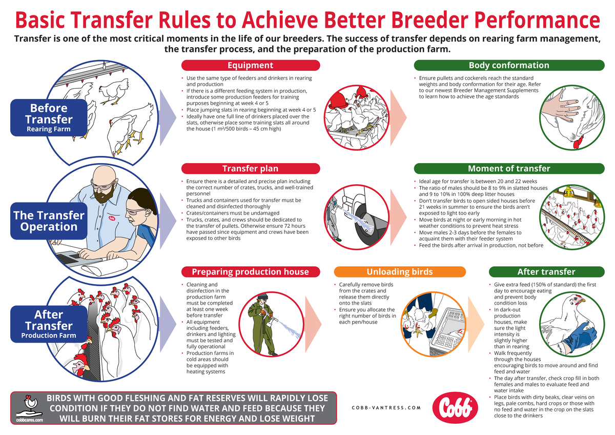 Basic Transfer Rules Poster EMEA 0720 - Basic Transfer Rules to Achieve ...