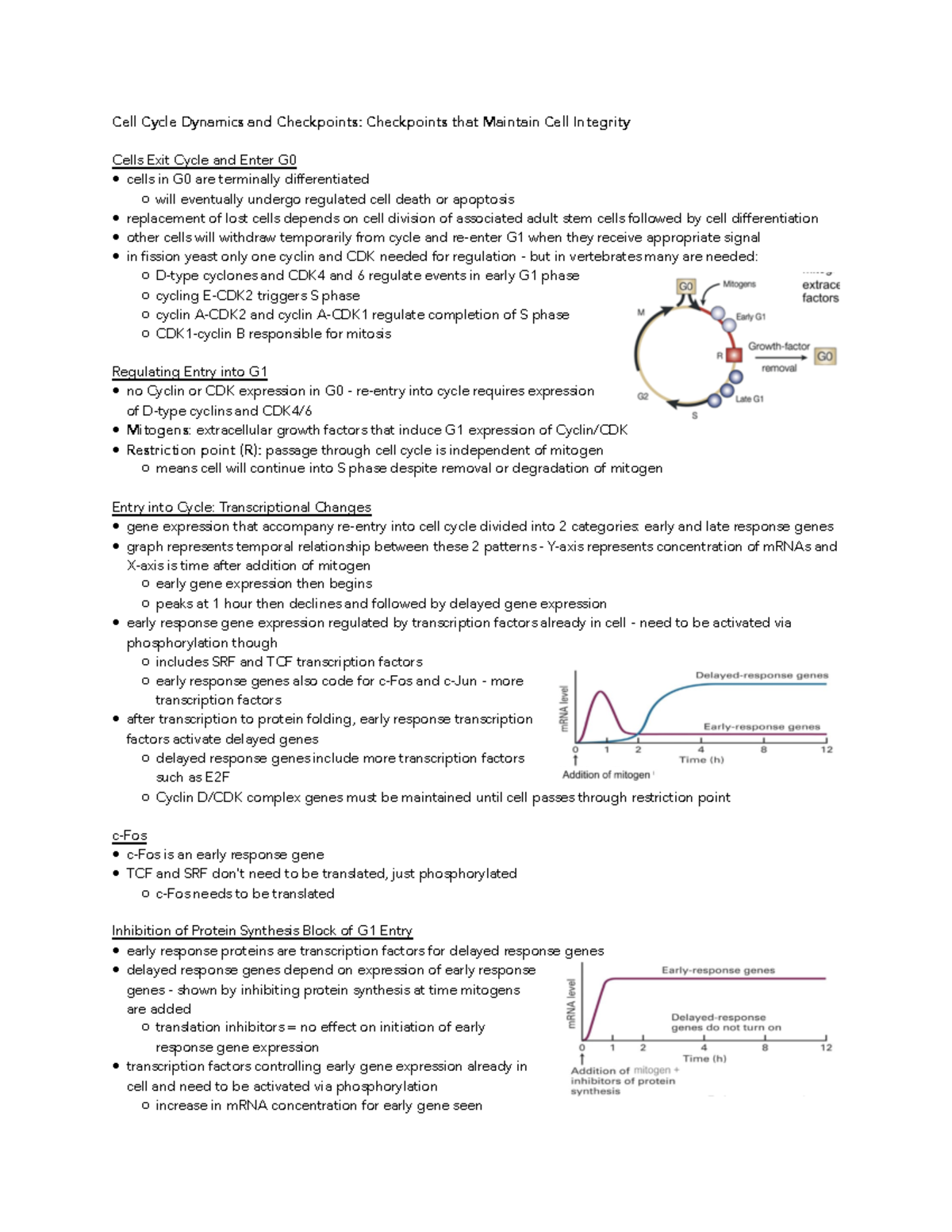 Module 10 Lecture 2 - Cell Cycle Dynamics and Checkpoints: Checkpoints that Maintain Cell ...
