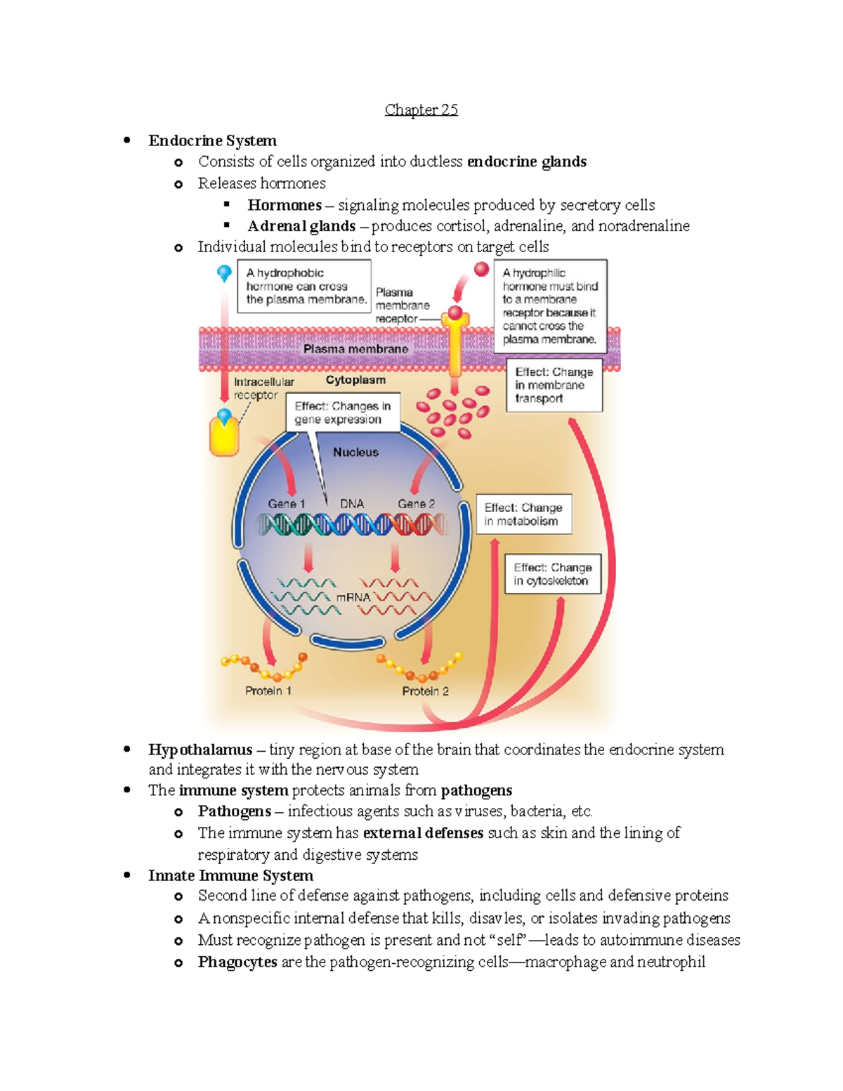 Chapter 25 - Ch. 25 bsc 110 lecture notes - Chapter 25 Endocrine System ...