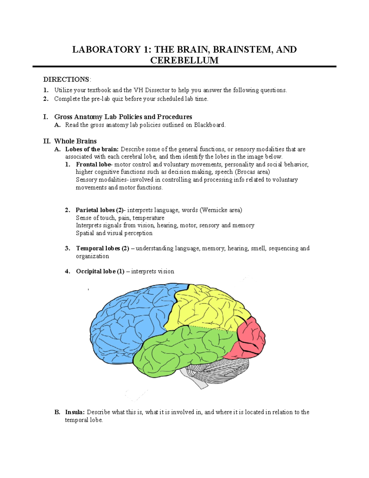 HSCI 102 Lab 1 Pre-Lab Worksheet - LABORATORY 1: THE BRAIN, BRAINSTEM ...