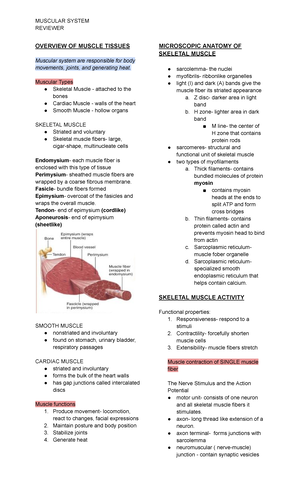 Copy of 5 Skeletal System - MODULE 5 The Skeletal System Parts of the ...