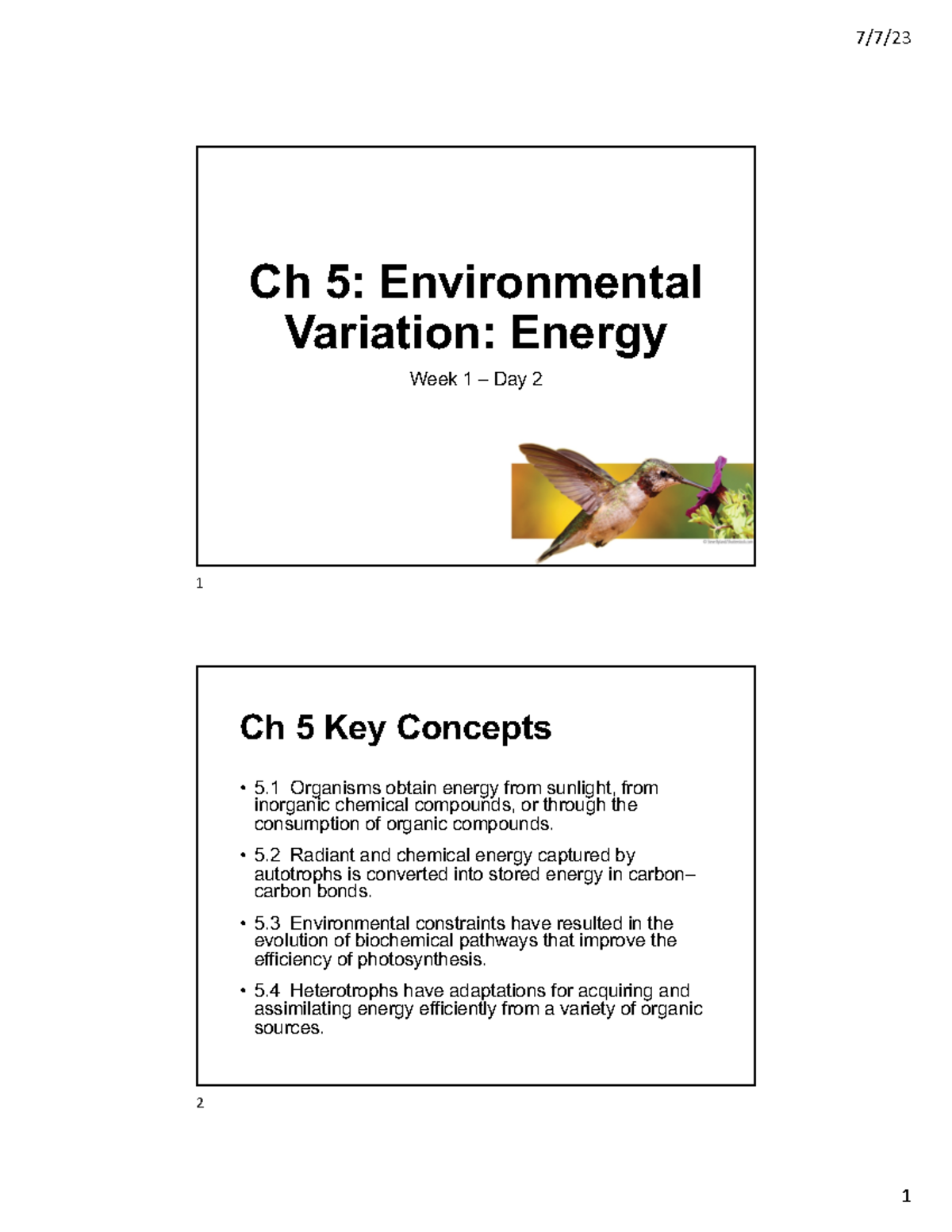 Lecture 4 - Ch 5: Environmental Variation: Energy Week 1 – Day 2 1 Ch 5 ...