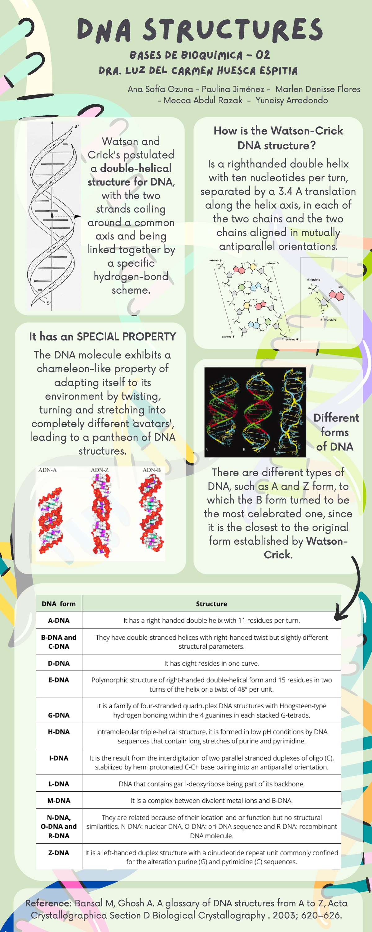 DNA infographic - DNA - DNA STRUCTURES Reference: Bansal M, Ghosh A. A ...