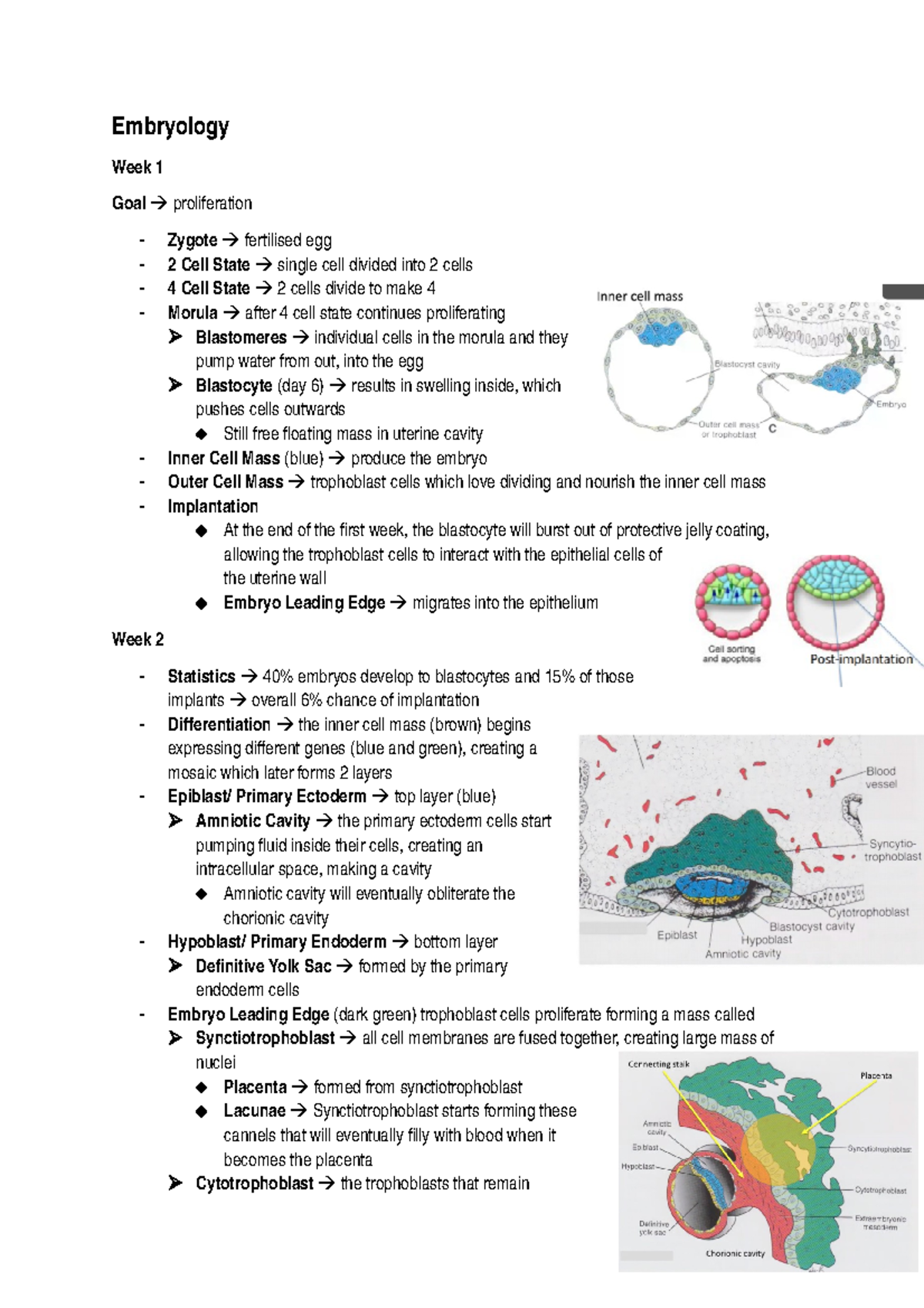 Lecture 2 Embryology 1 Overview Week 1-4 - Embryology Week 1 Goal ...