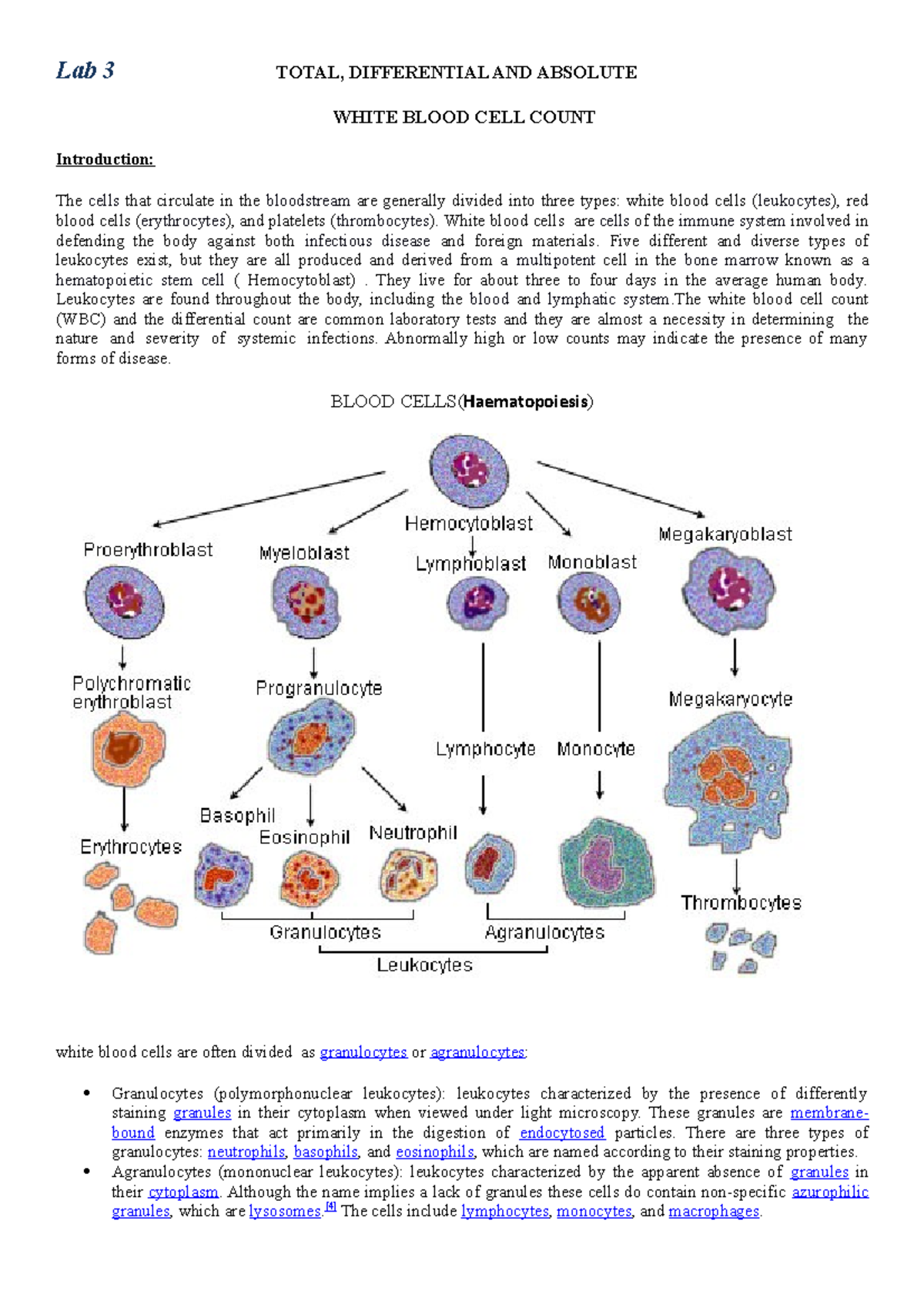 Total ,Differential and Absolute WHite Blood Cells count - Lab 3 TOTAL ...