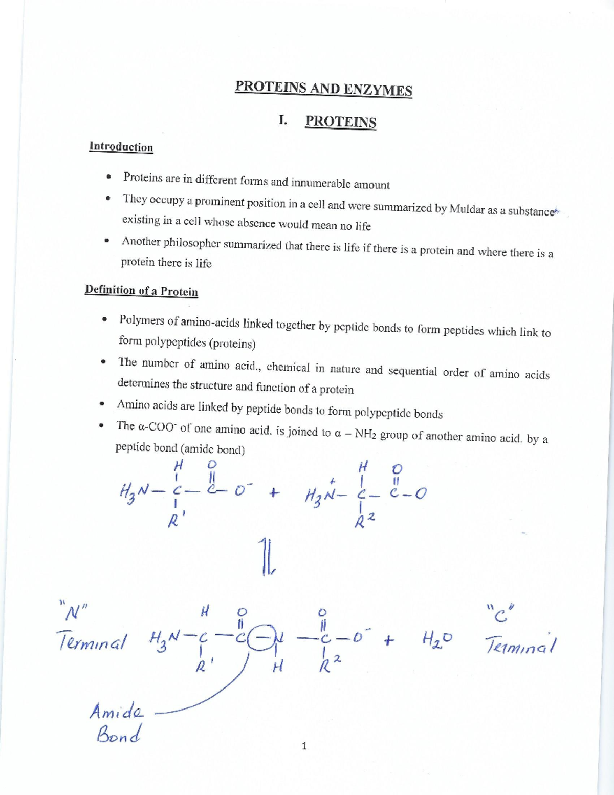 Proteins AND Enzymes - Lecture notes 1 - Bsc (Biochedmistry) - Studocu