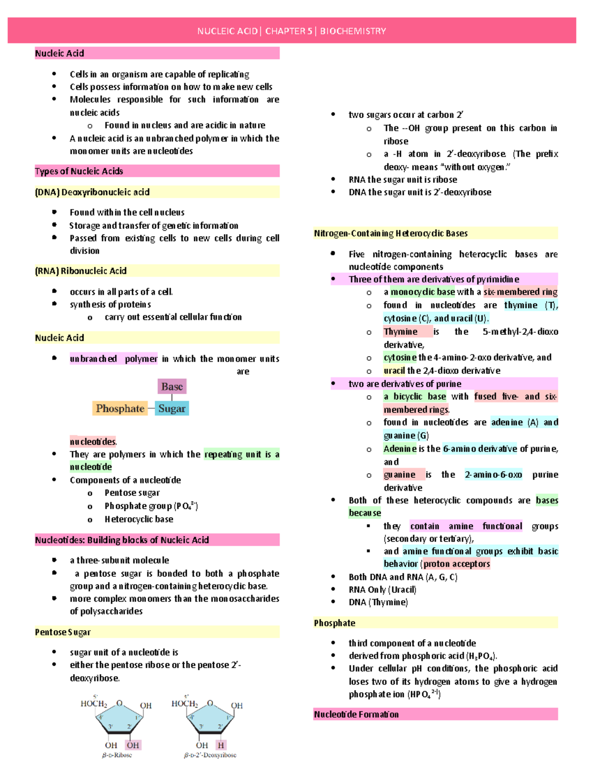Transes in Chapter 5 Nucleic Acids - Nucleic Acid Cells in an organism are capable of ...