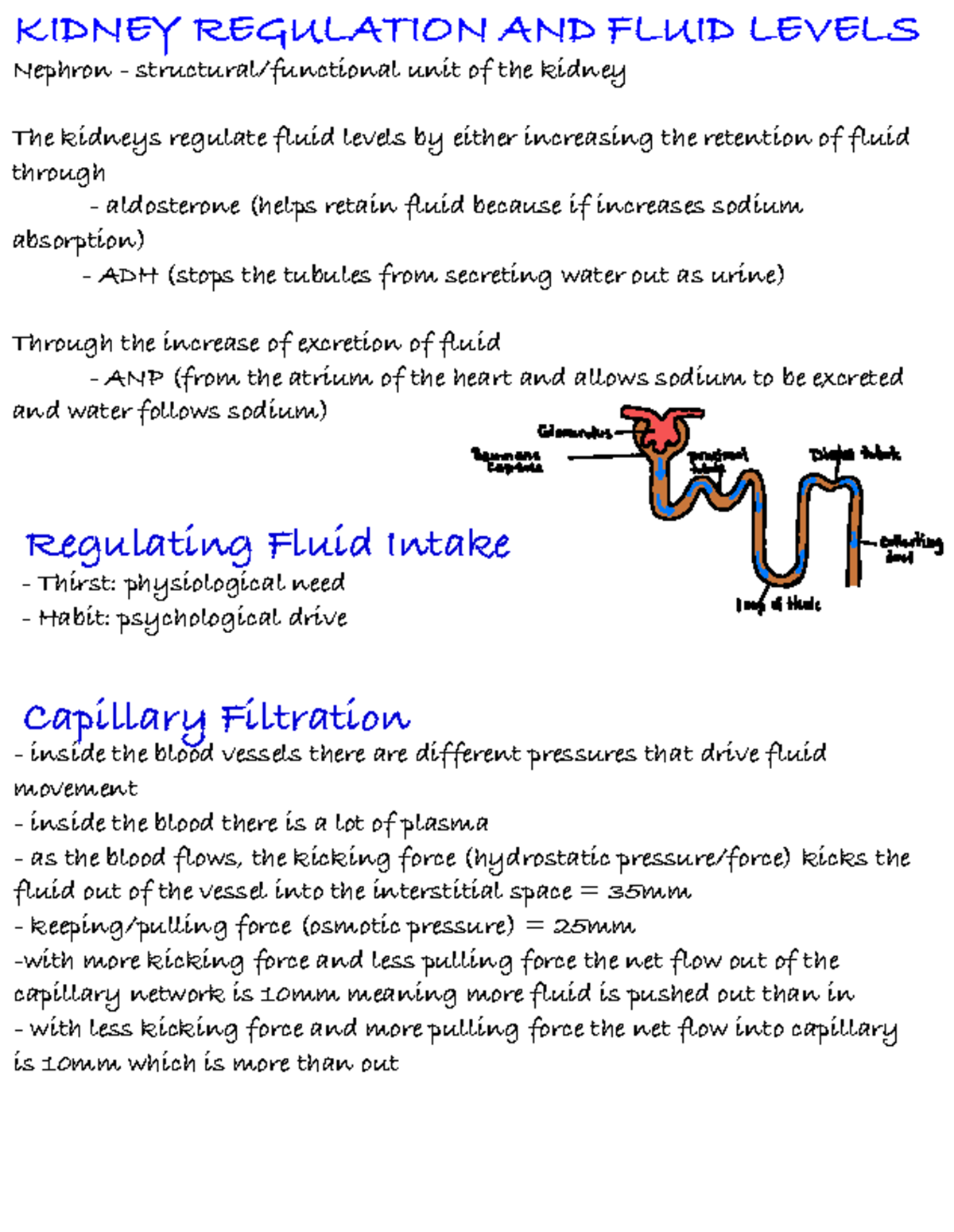 Fluid And Electrolyte Imbalances and Acid Base Imbalances - KIDNEY ...
