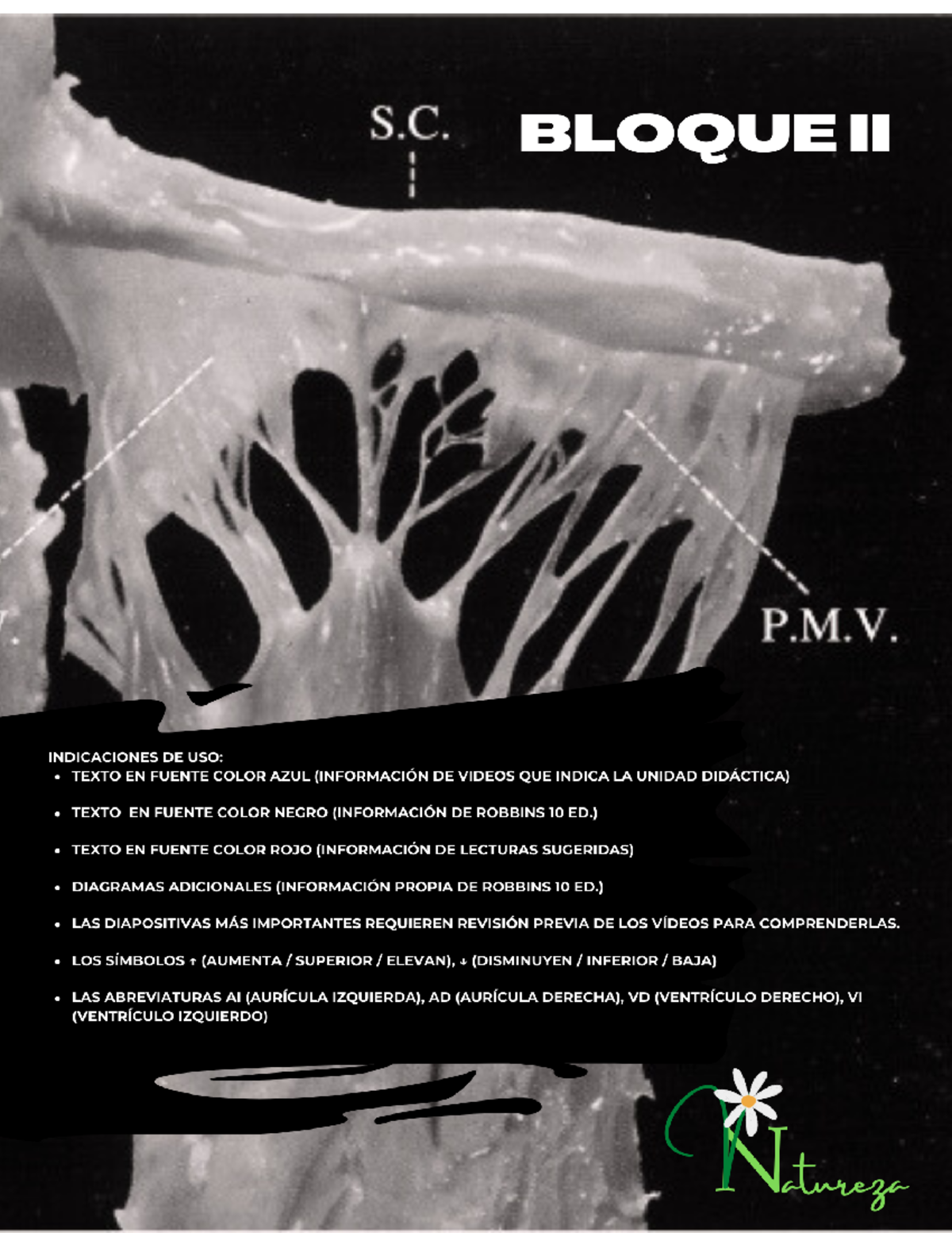 MÓDULO 2 - Neonato, Pulmonar Y CardiolóGICO - Semana 11 BLOQUE II ...