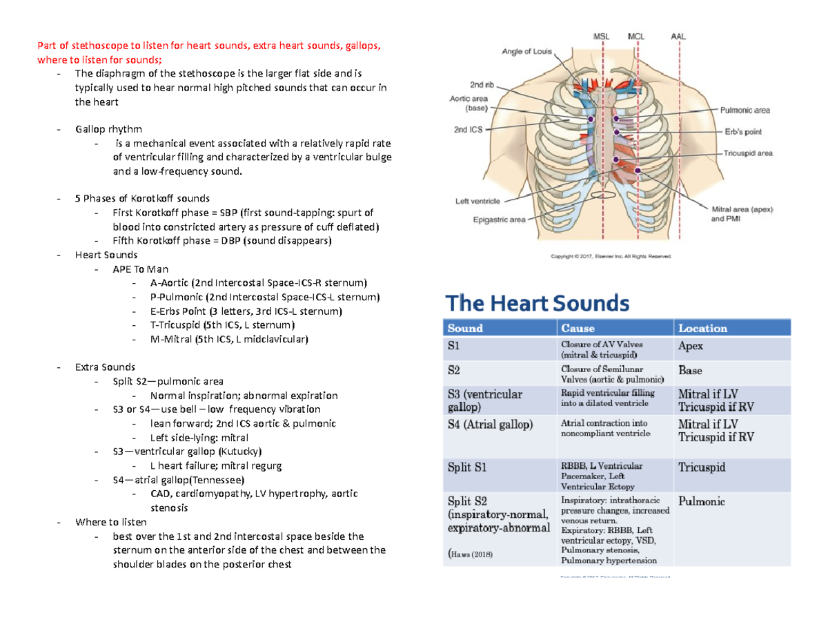 Adult Exam #3 Blueprint - Part of stethoscope to listen for heart ...