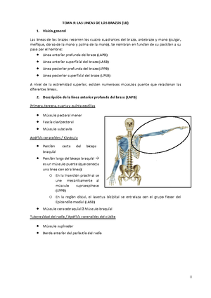 3. Patrón capsular-ligamentoso del hombro (capsulitis vs retracción ...