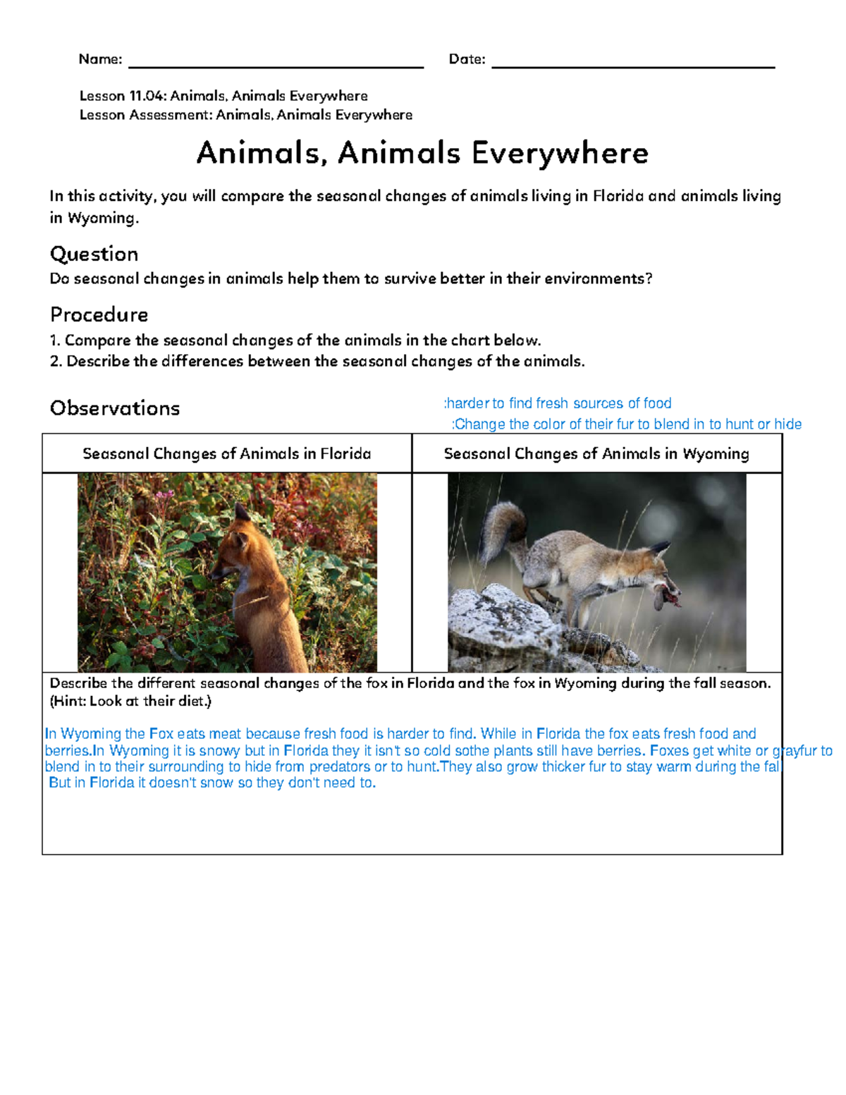 Animals animals everywhere 0000089904 - Name: Date: Lesson 11: Animals ...