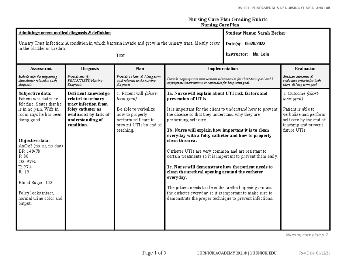 Nursing Care Plan Clinical Week 1 - Nursing Care Plan Grading Rubric ...