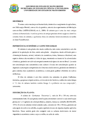 Morfologia Vegetal - Raizes - Professor: Carlos Henrique Morfologia ...