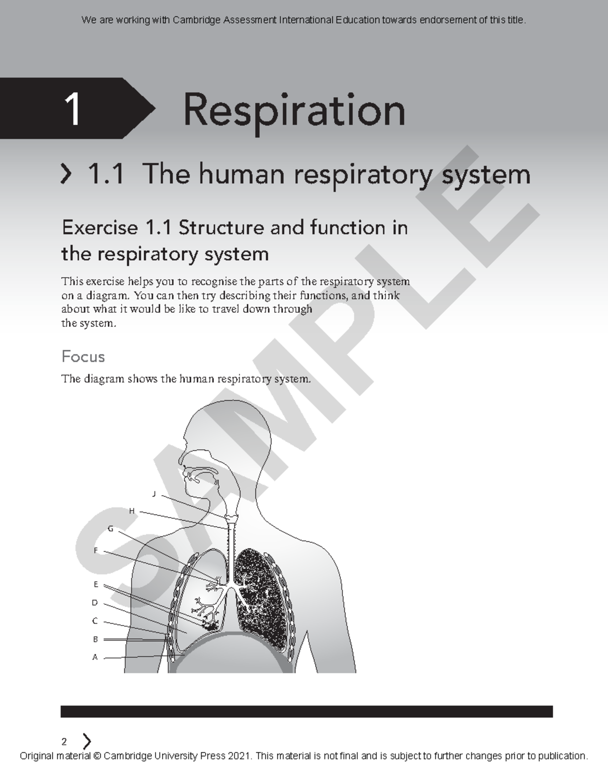 Sci ex lect 1 - no ahxjwklka - 2 1 Respiration 1 The human respiratory ...