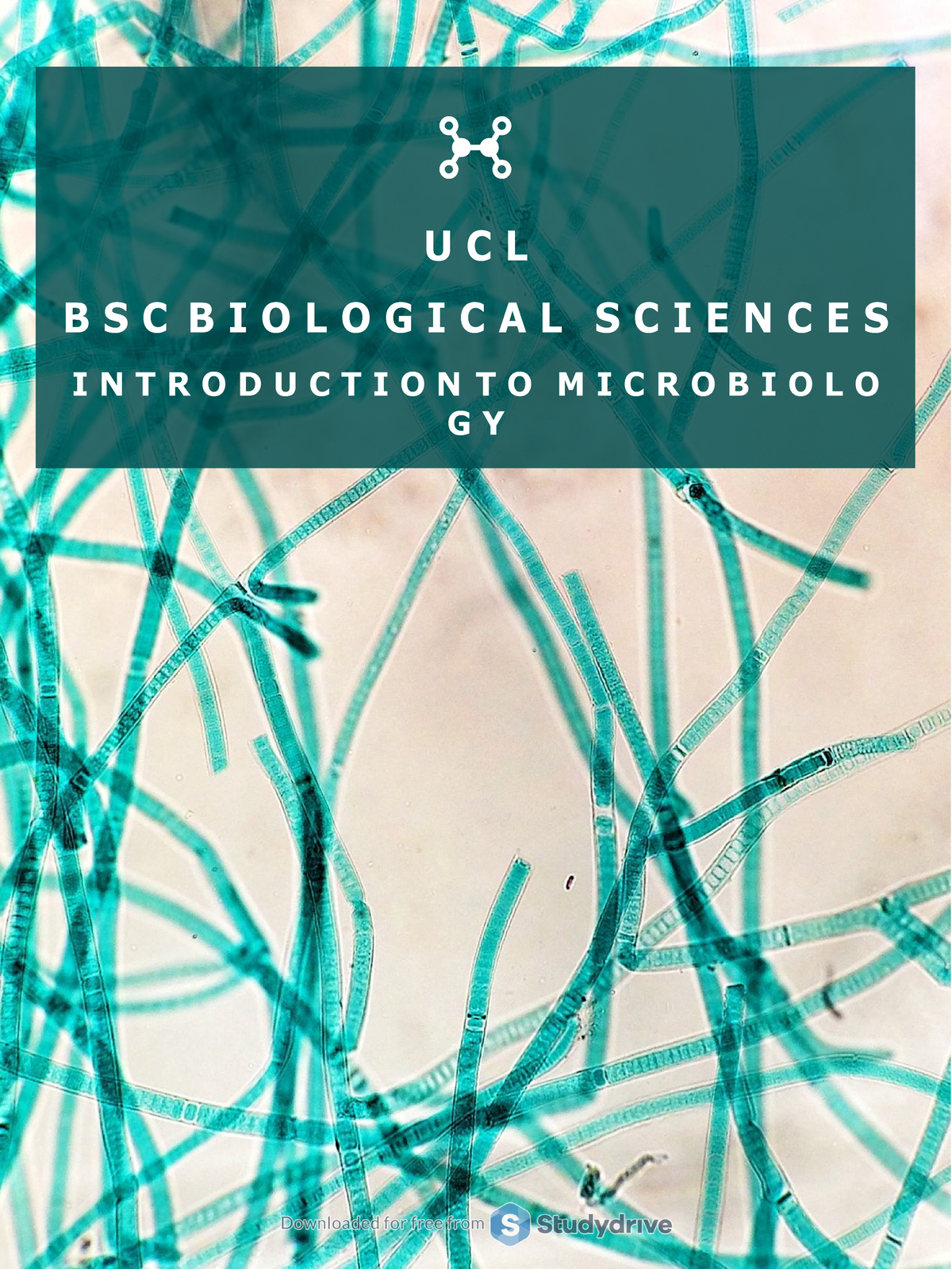 Introduction to Microbiology Summary - BIOC1010 - UCL - Studocu