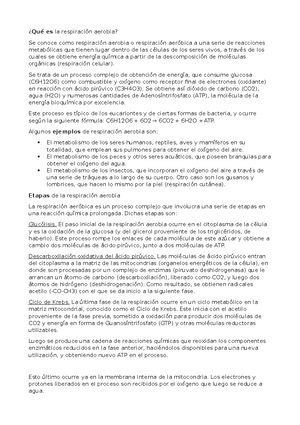 Evolución de las computadoras - Cuando todo comenzó allá en el 2004 ...