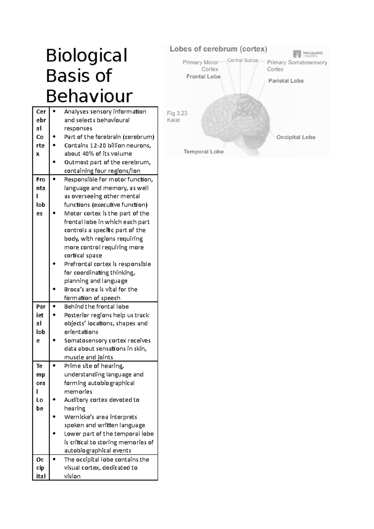 Biological Basis of Behaviour Summary - Biological Basis of Behaviour ...