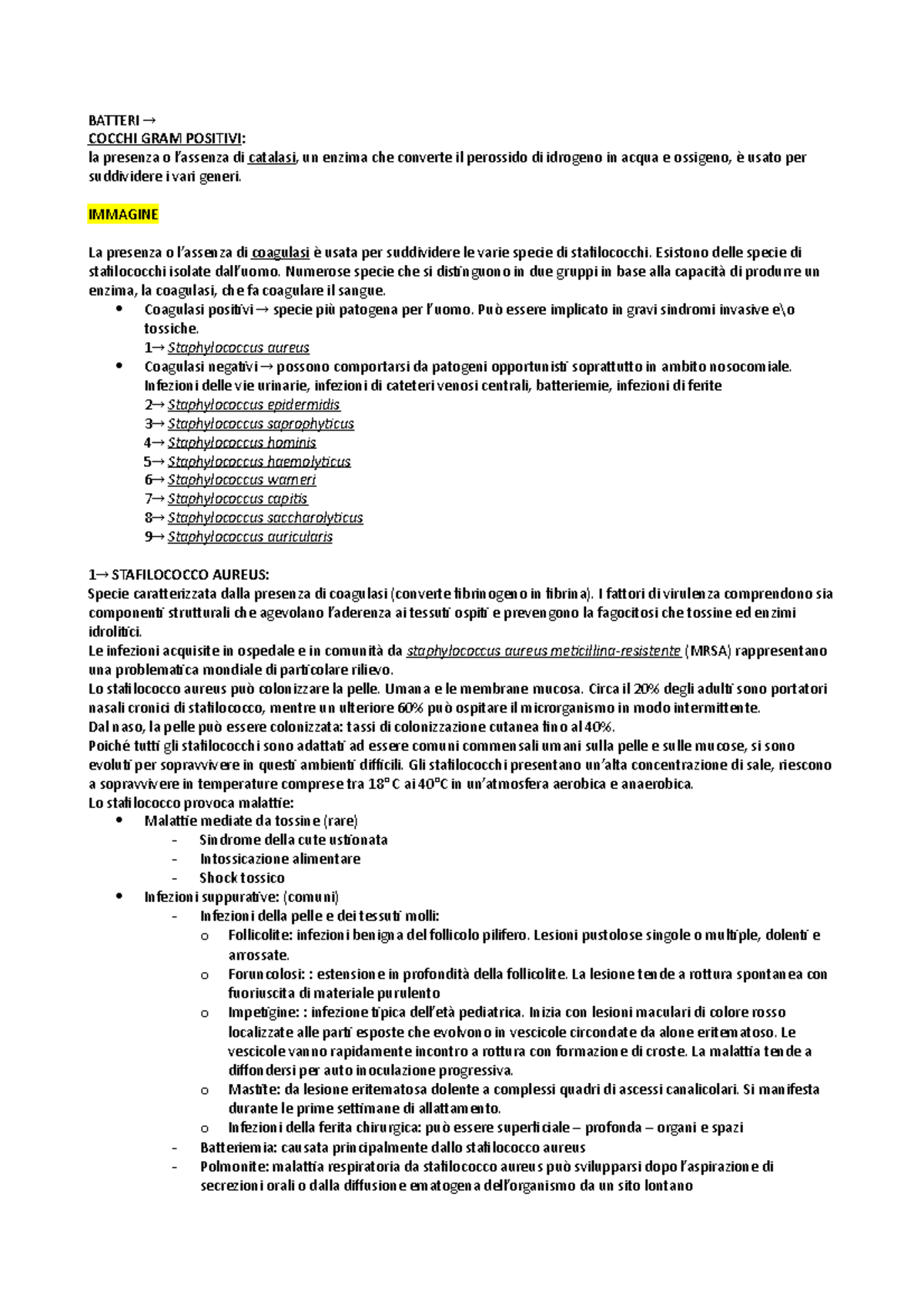 Microbiologia - Batteri (cocchi Gram+) - BATTERI COCCHI GRAM POSITIVI ...