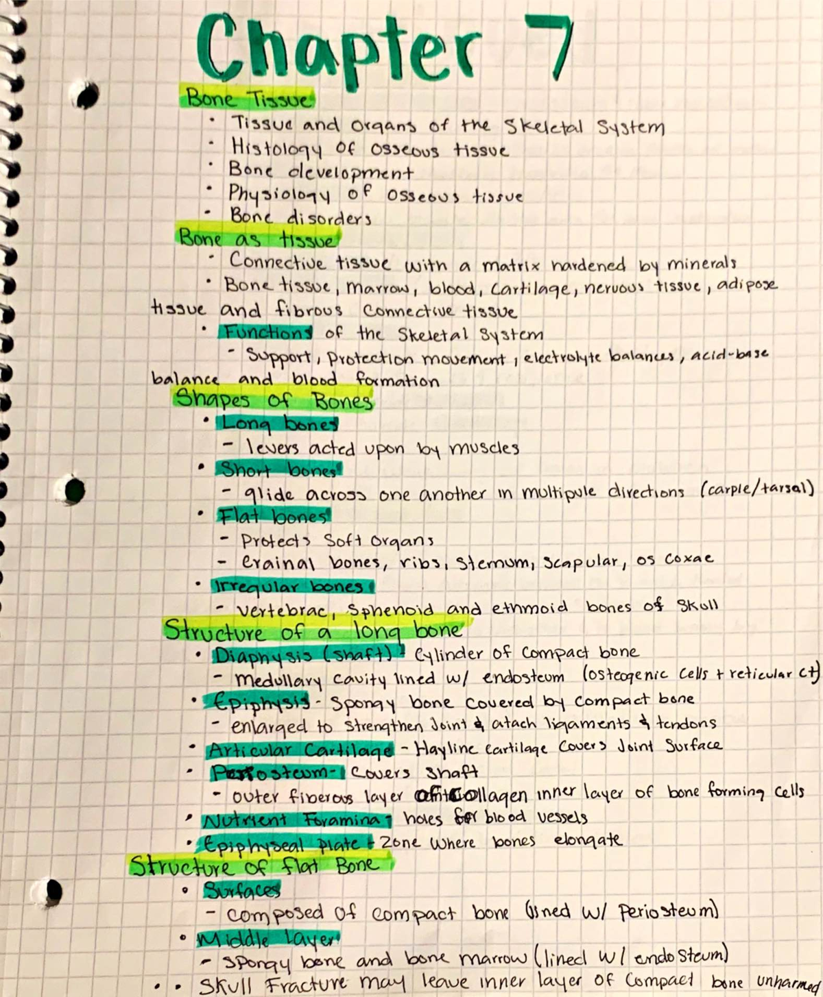 Chapter 7 - Jane Rogers - Chapter Bone Tissue Tissue and organs of the ...