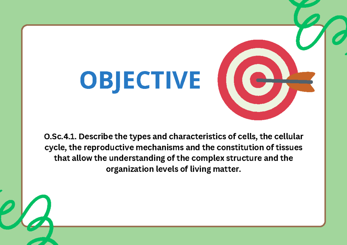 Types of Animal Tissues Activity Science Graphic Organizer in Pastel ...