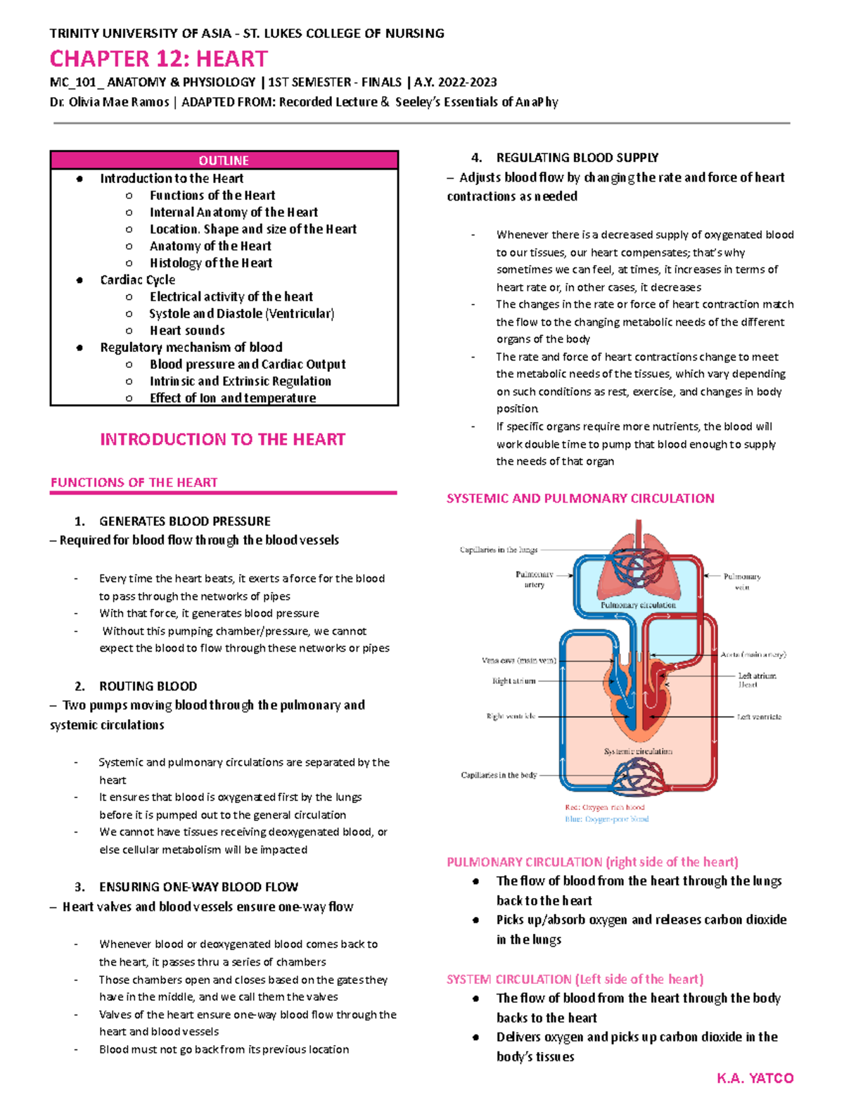Chapter 12 Heart - HUMAN ANAPHY 1ST SEM - TRINITY UNIVERSITY OF ASIA ...