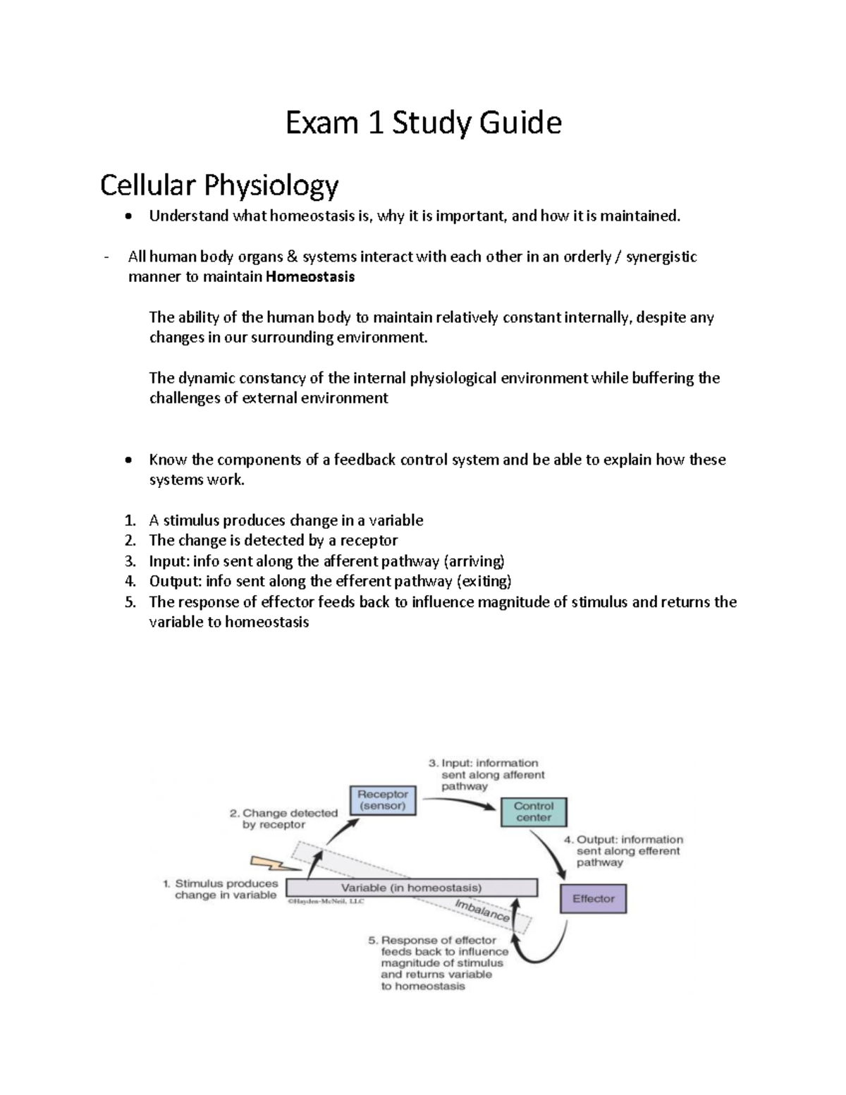 Exam 1 Physio Lab - Exam 1 Study Guide Cellular Physiology Understand ...