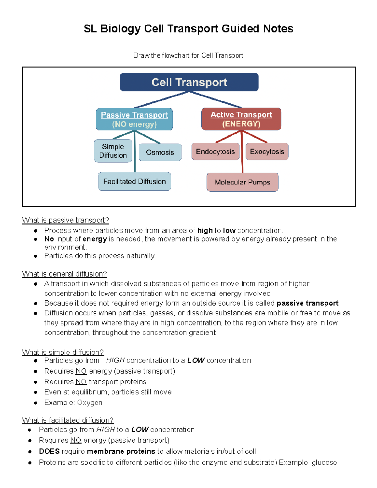 Cellular Transport - SL Biology Cell Transport Guided Notes Draw the ...