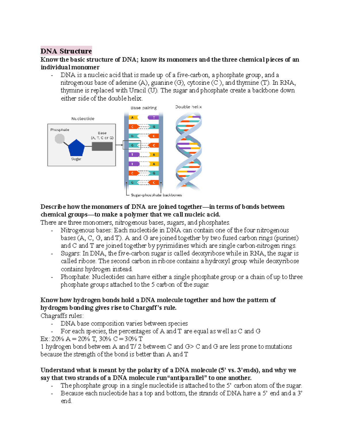 Final study guide fall semester - DNA Structure Know the basic ...