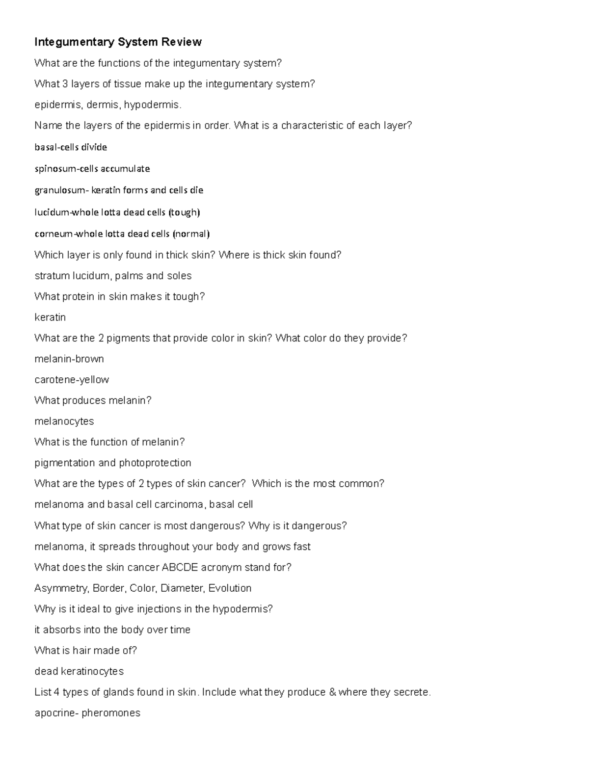 Integumentary System Review 2023 - Integumentary System Review What are ...