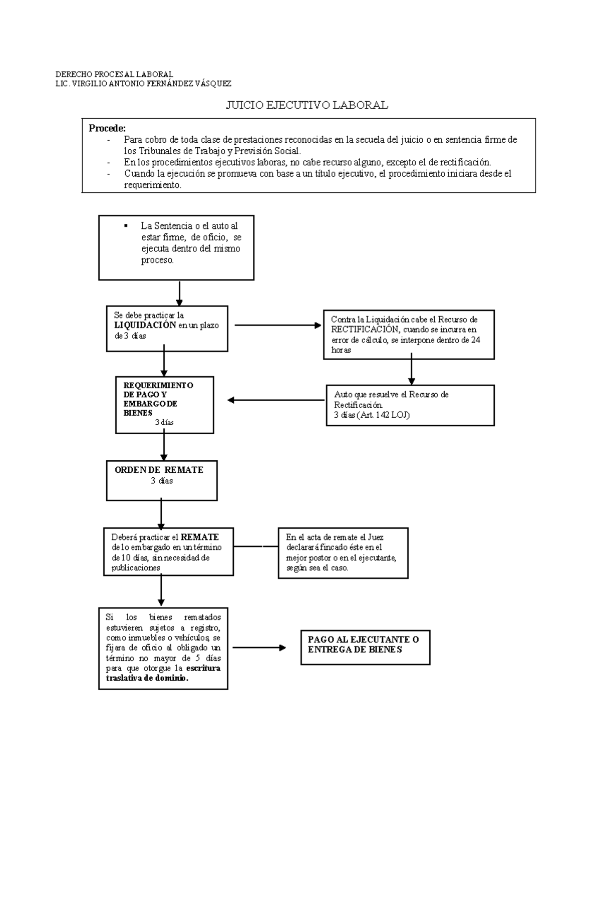 Esquema Juicio Ejecutivo Laboral - DERECHO PROCESAL LABORAL LIC. VIRGILIO ANTONIO FERNÁNDEZ ...