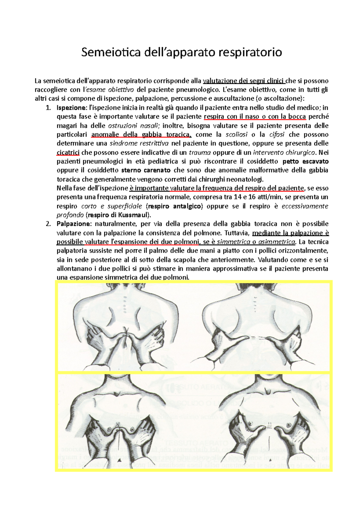 1-Semeiotica dell’apparato respiratorio - Semeiotica dell’apparato ...