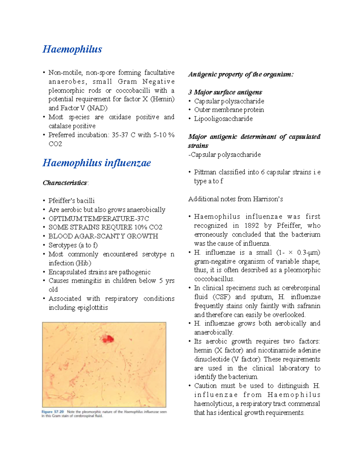 Haemophilus- Haemophilus influenzae - Haemophilus Non-motile, non-spore ...