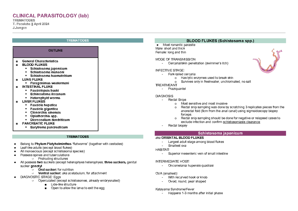 Paralab semifinals - CLINICAL PARASITOLOGY (lab) TREMATODES T. Paculaba || April 2024 J ...