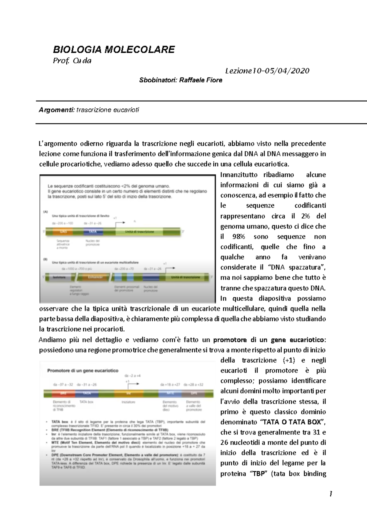 Lezione 10 - Biologia Molecolare - Cuda - Warning: TT: undefined function: 32 BIOLOGIA ...