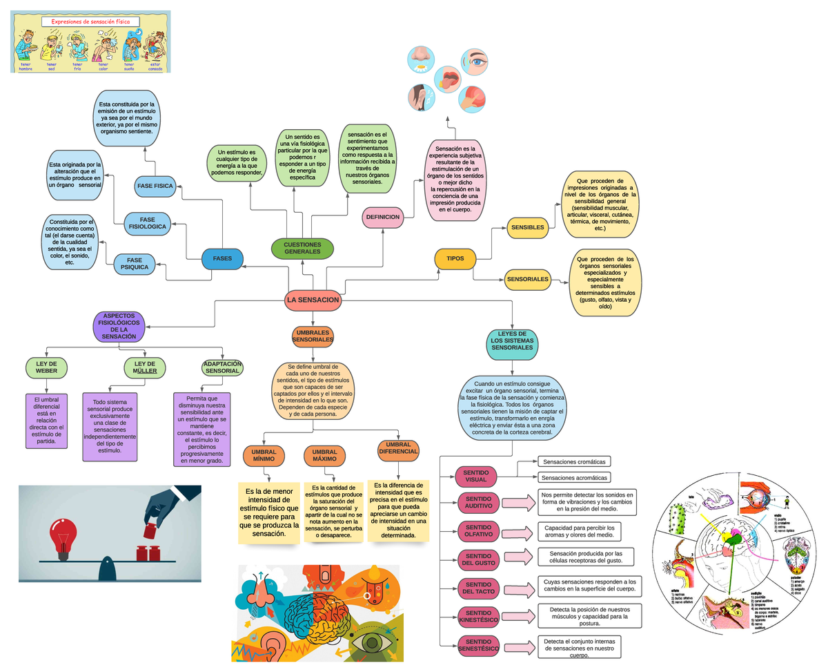 MAPA Psicologia - MAPA Psicología nota: 17 - LA SENSACION UMBRALES ...